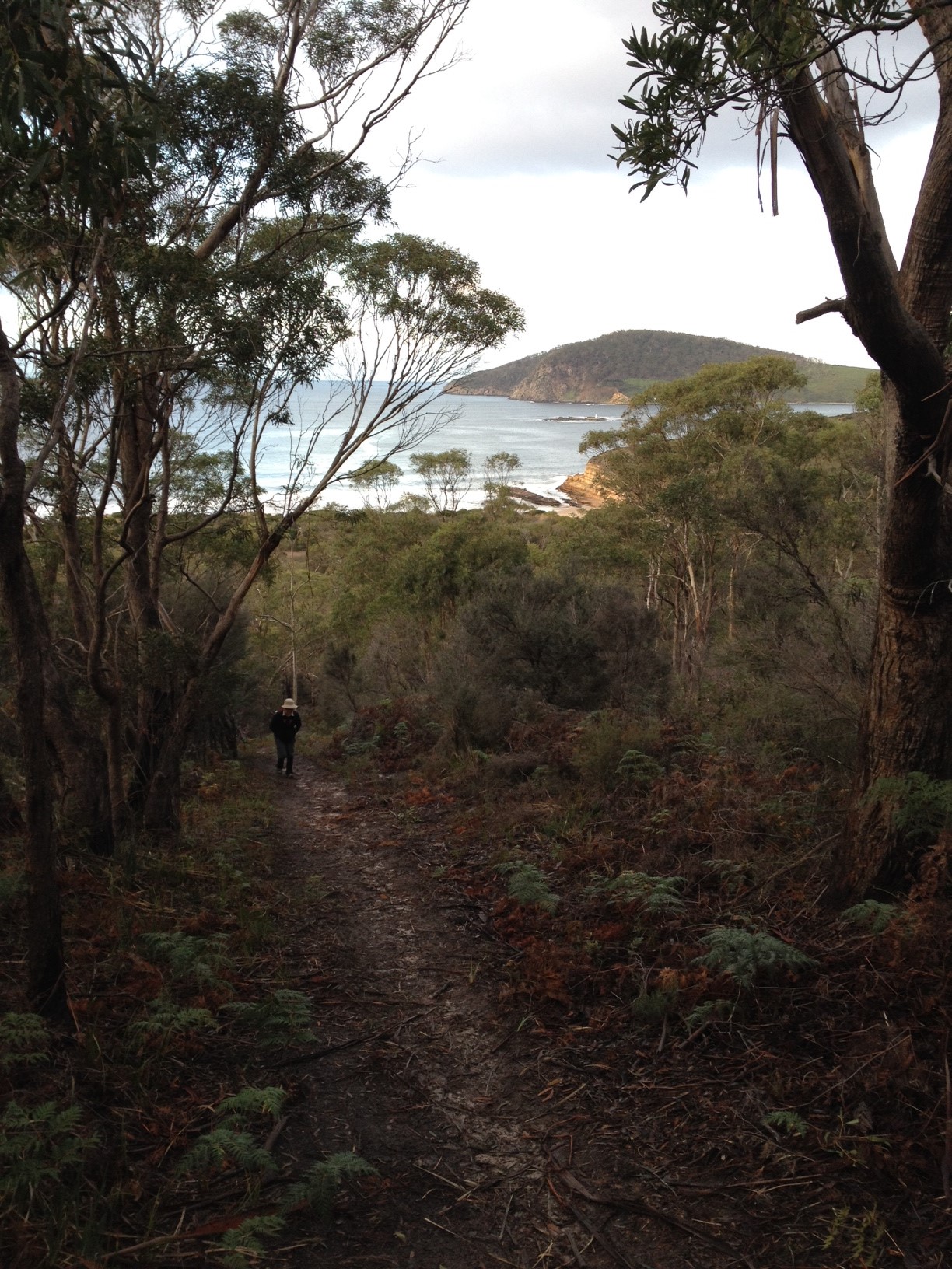 Tangara Trail - City of Clarence