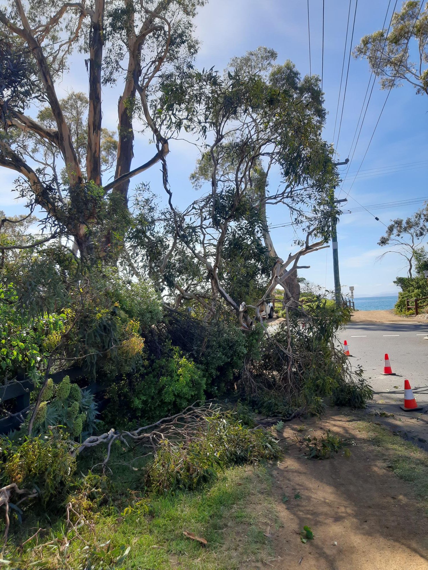 Fallen tree branch - Seven Mile Beach - Clarence City Council