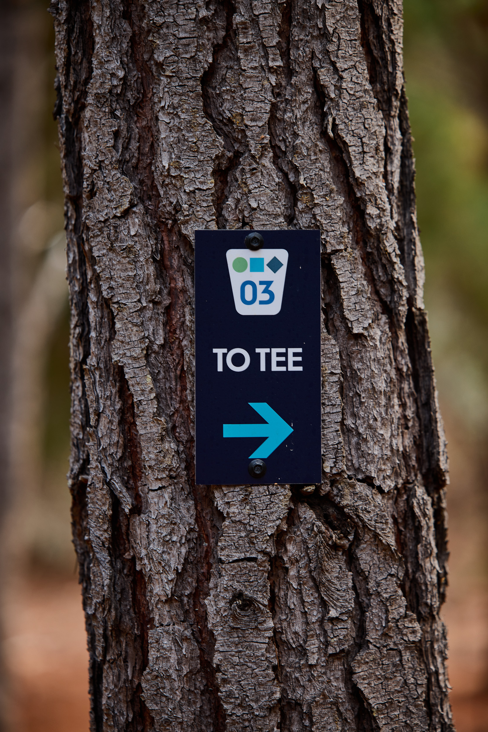 Seven Mile Beach Disc Golf course - City of Clarence